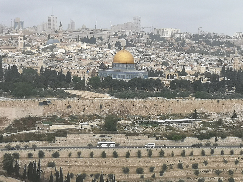 Global Kapap Gallery